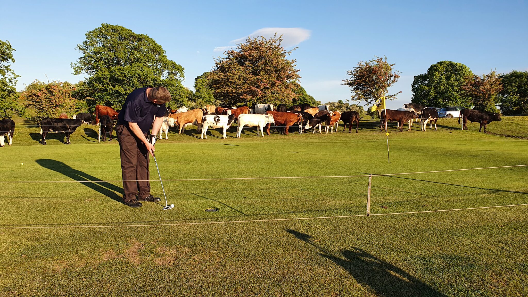 Golf Courses Near Me - NCG Society Golf Guide - golf course map