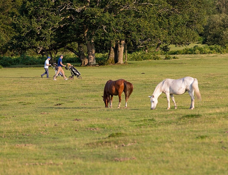 Bramshaw Golf Club - golfing in Hampshirfe with accommodation