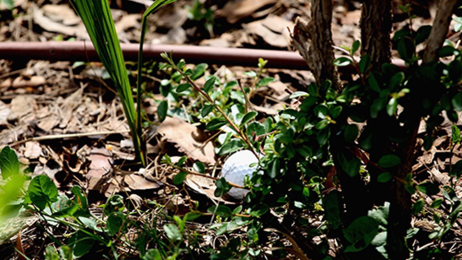 How do you confront a cheat? - National Club Golfer | National Club Golfer