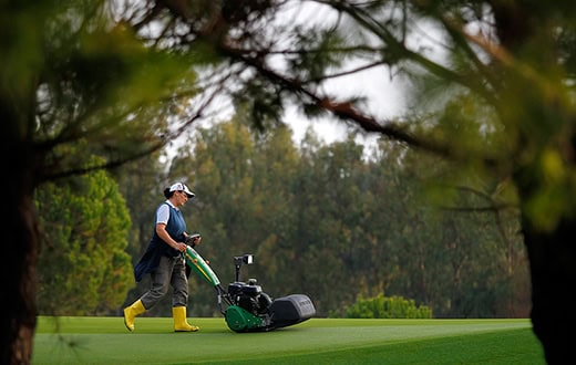 Greenkeeping diaries: A day in the life of a greenkeeper - National ...