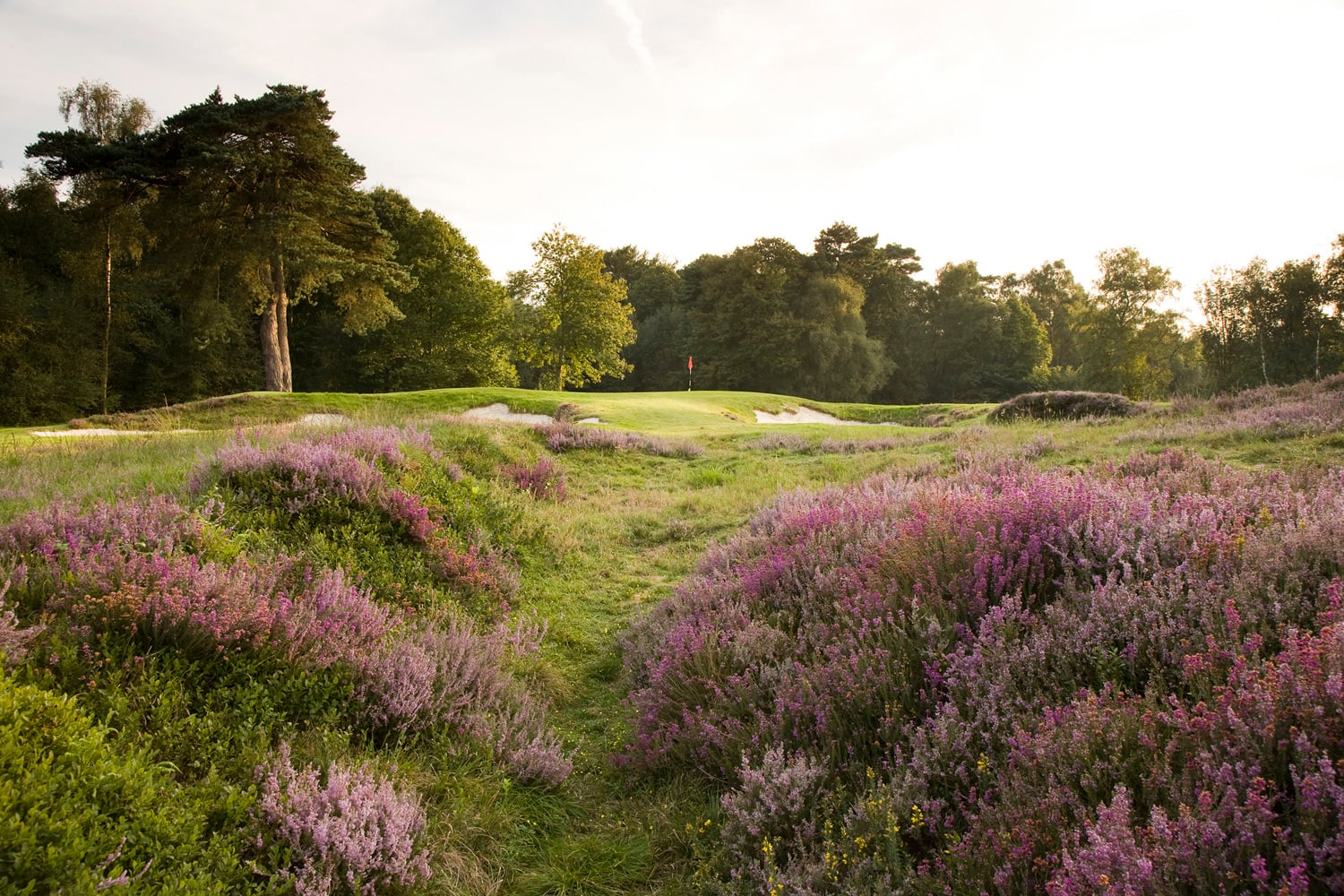 Tom Mackenzie: My life as a golf architect | National Club Golfer ...