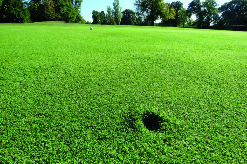 Rules of golf putting green | Six putting green rules you must know