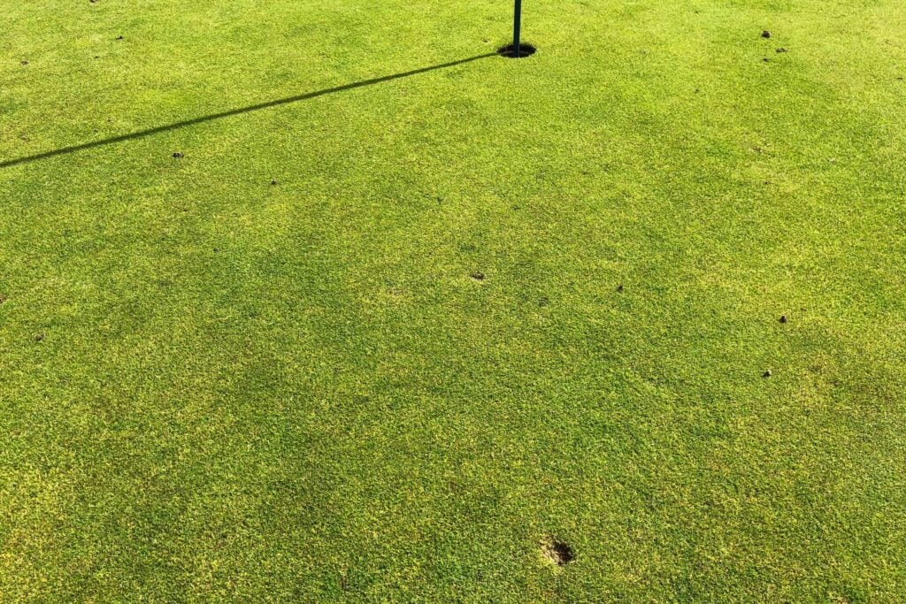 The simple but genius idea to get golfers repairing pitch marks ...