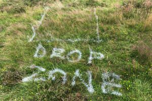 What is a drop zone in golf? Here's what the Rules of Golf say ...