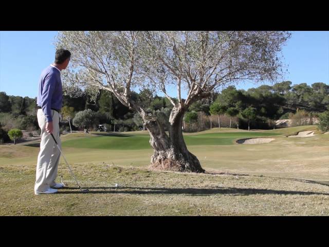 How to play from behind a tree - Golf tips - National Club Golfer