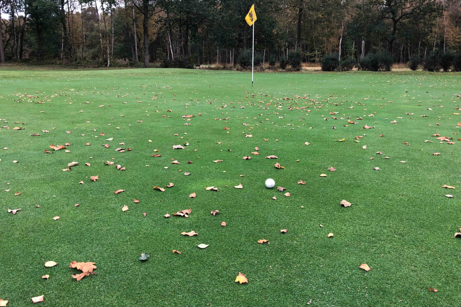 Greensomes golf format: How does this game for pairs work?