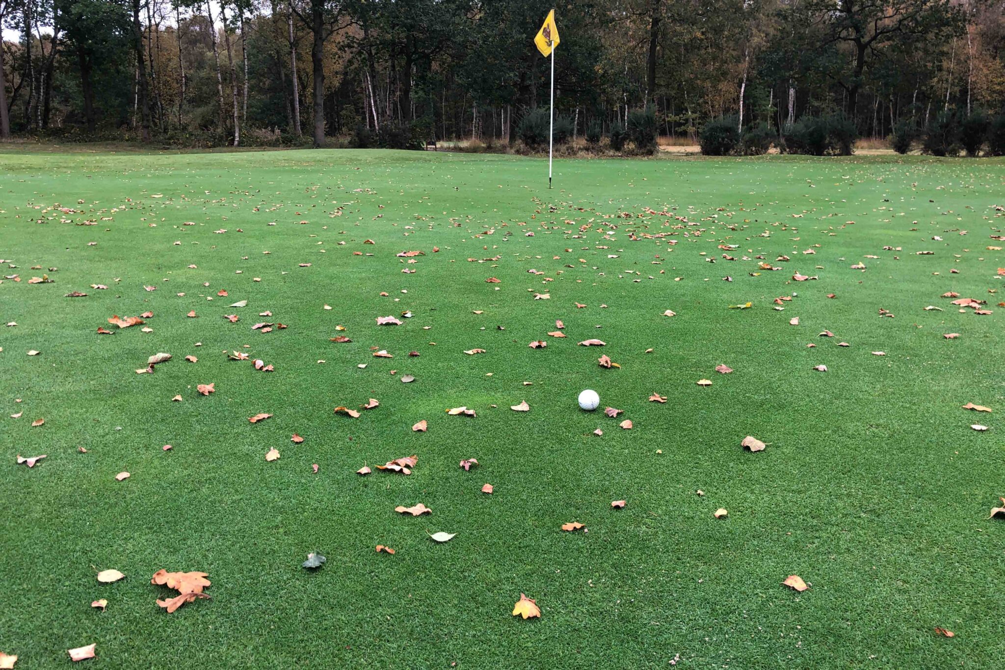 Match play golf: How does it work? Rules and scoring explained