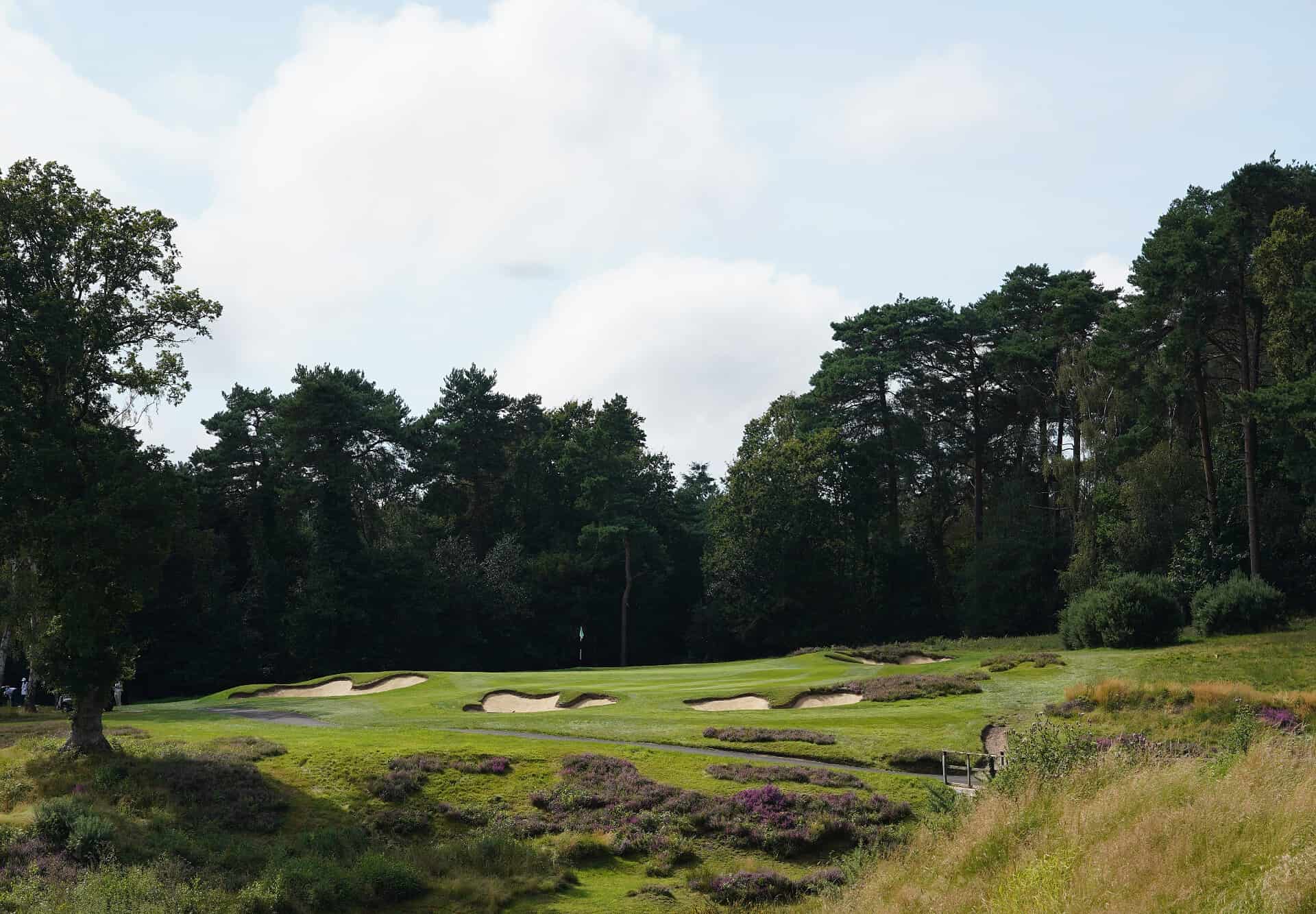 Stoneham Golf Club | We'd Rather Be Playing... - NCG Top 100s ...