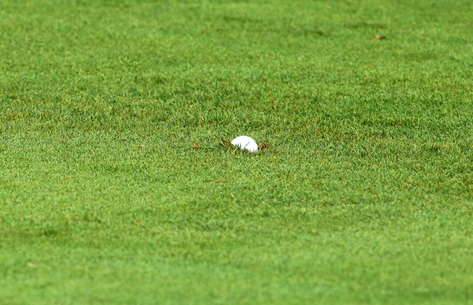 Embedded ball relief: When you can and can't get a free drop | National ...