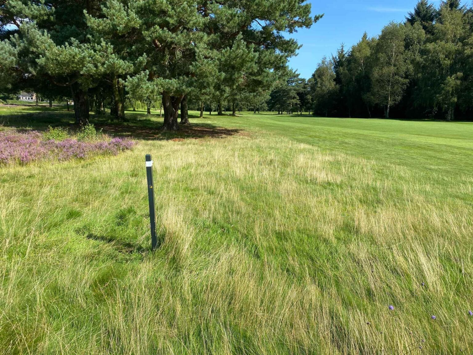 What can you use as a golf ball marker?
