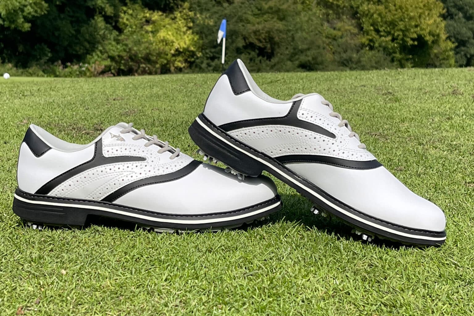 Greg Norman Men’s Isa Tour Waterproof Spiked Golf Shoes review ...
