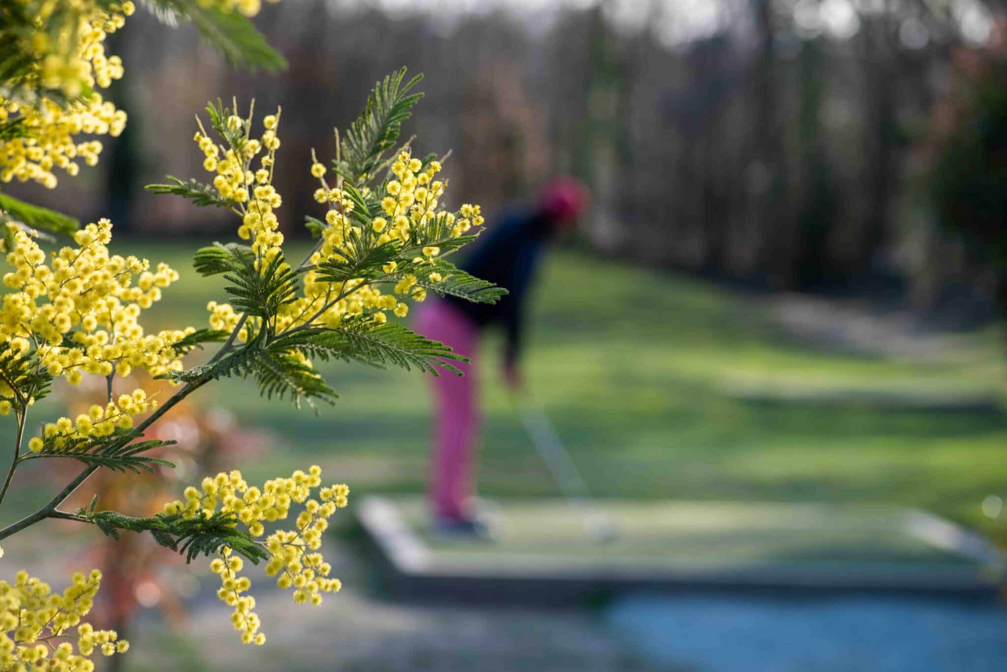 Winter tee mat: Do we HAVE to hit our ball from the mat? | National ...