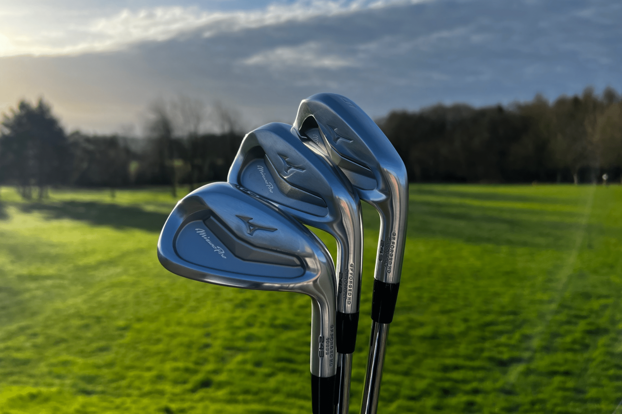 Mizuno Pro 241 irons