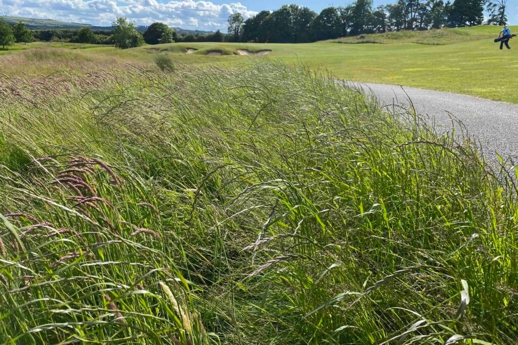 Should greenkeepers cut the rough to speed up play? - National Club ...