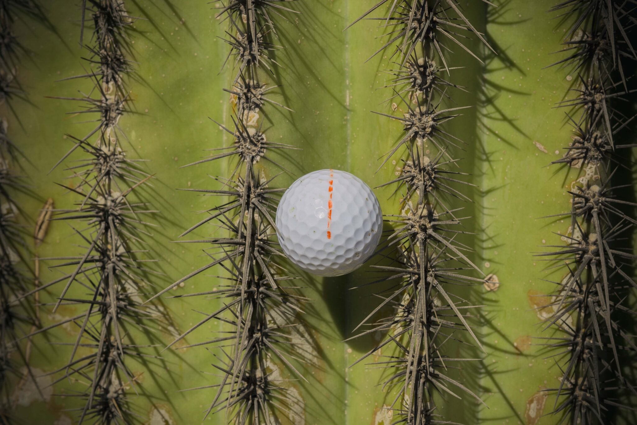 Have any of these weird golf rules happened to you? - National Club ...