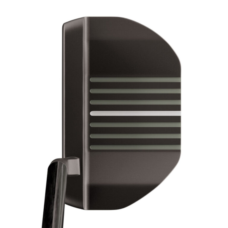 Best Zebra Putters 2025: Blade, Mallet and Double Wide | National Club ...