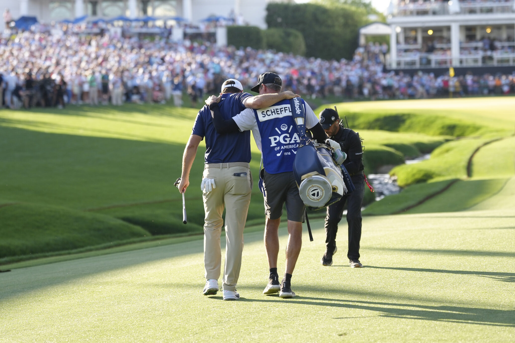 Is it right to compare Scottie Scheffler with Tiger Woods?