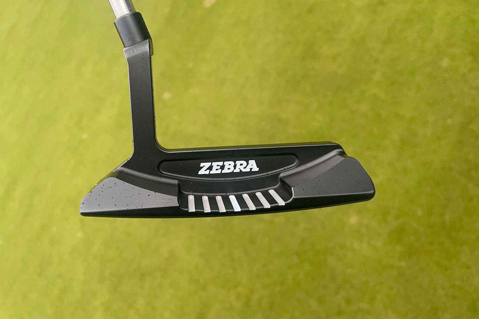 Best Zebra Putters 2025: Blade, Mallet and Double Wide | National Club ...