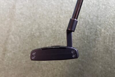 TaylorMade Spider X Proto Small Slant Putter Review: The Putter ...