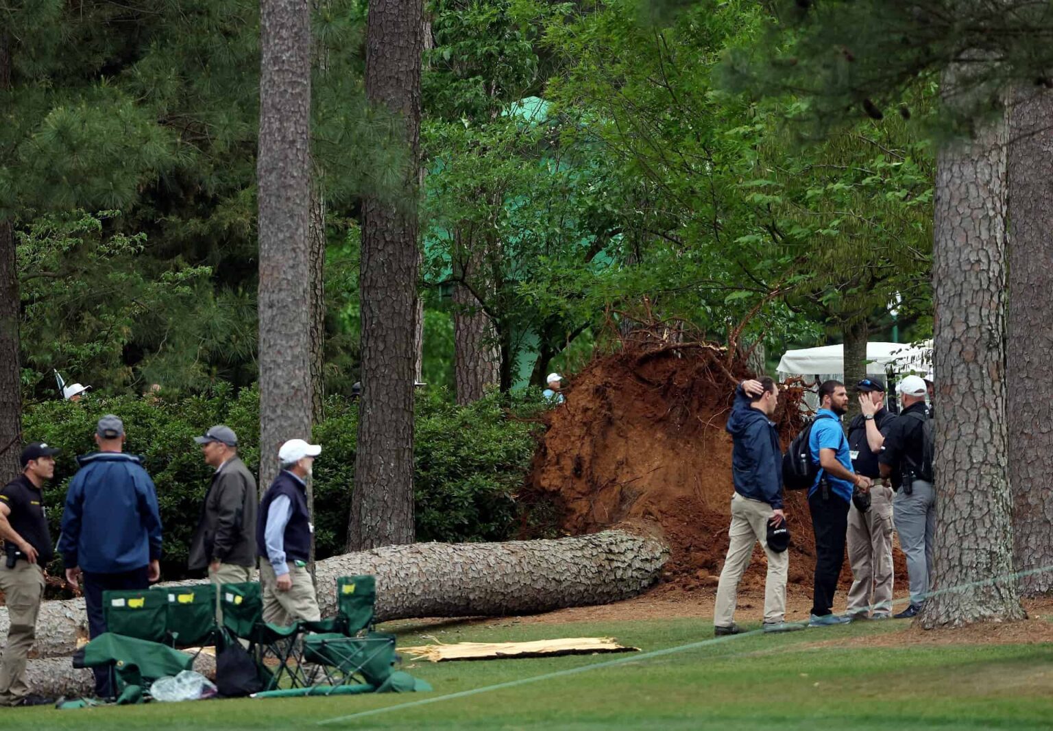 If my ball is under the branches of a fallen tree do I get relief ...