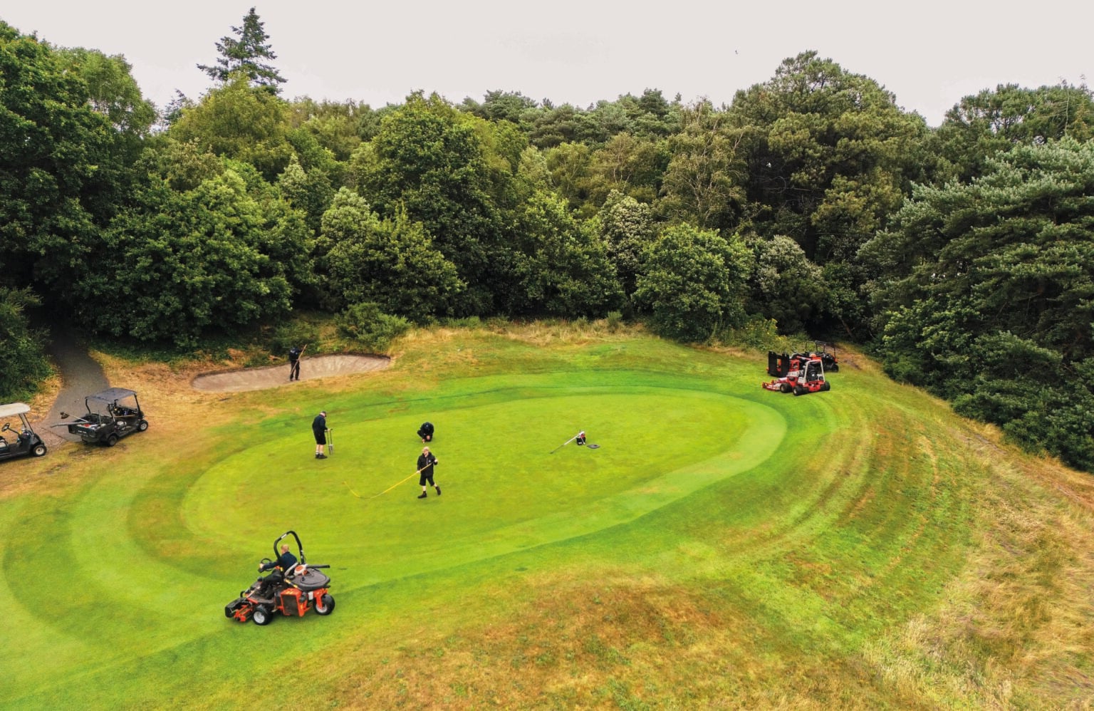 A perfect storm: Has there ever been more pressure from pests and ...