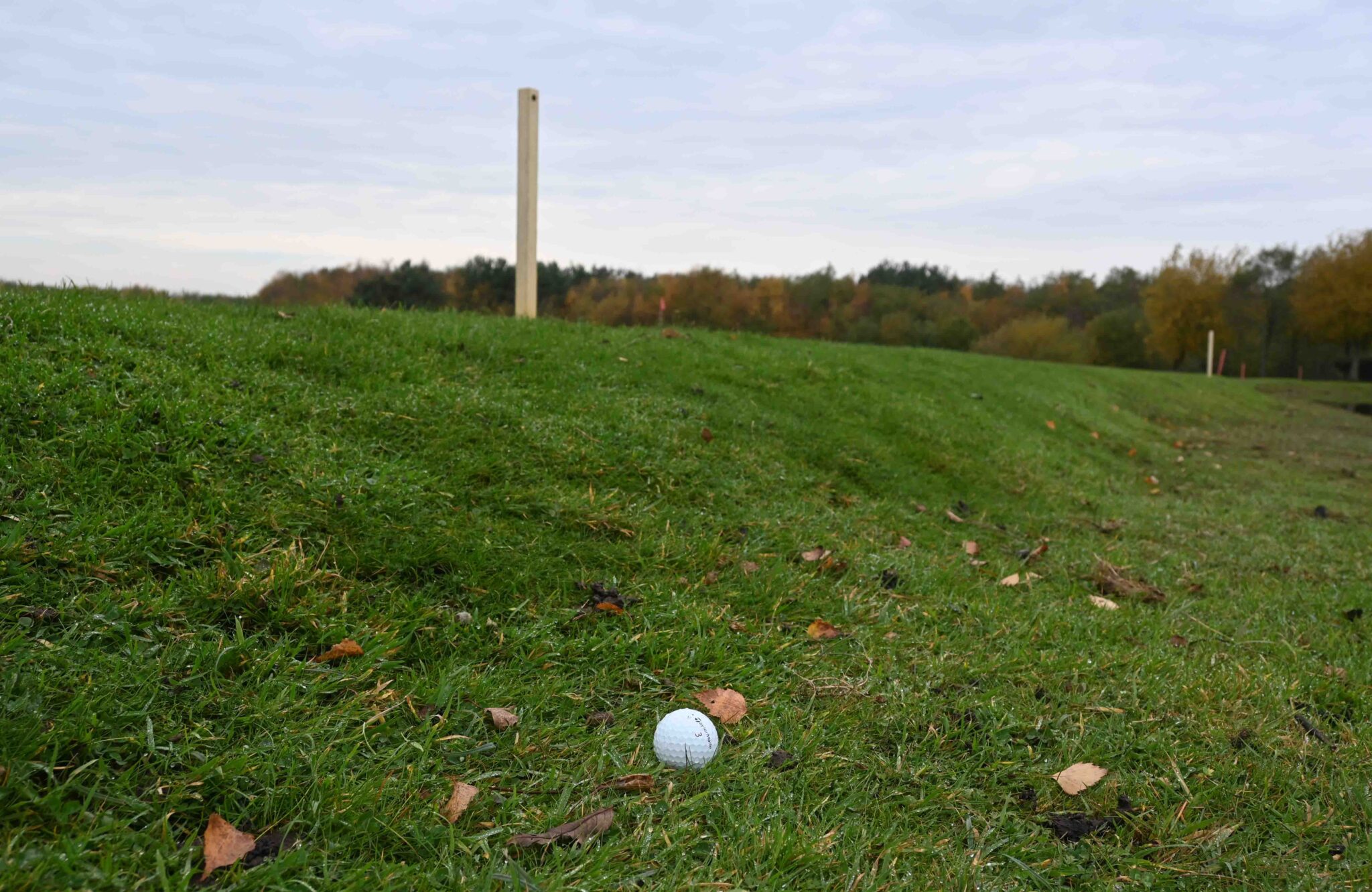 What are the rules for yellow stakes? - National Club Golfer | National ...