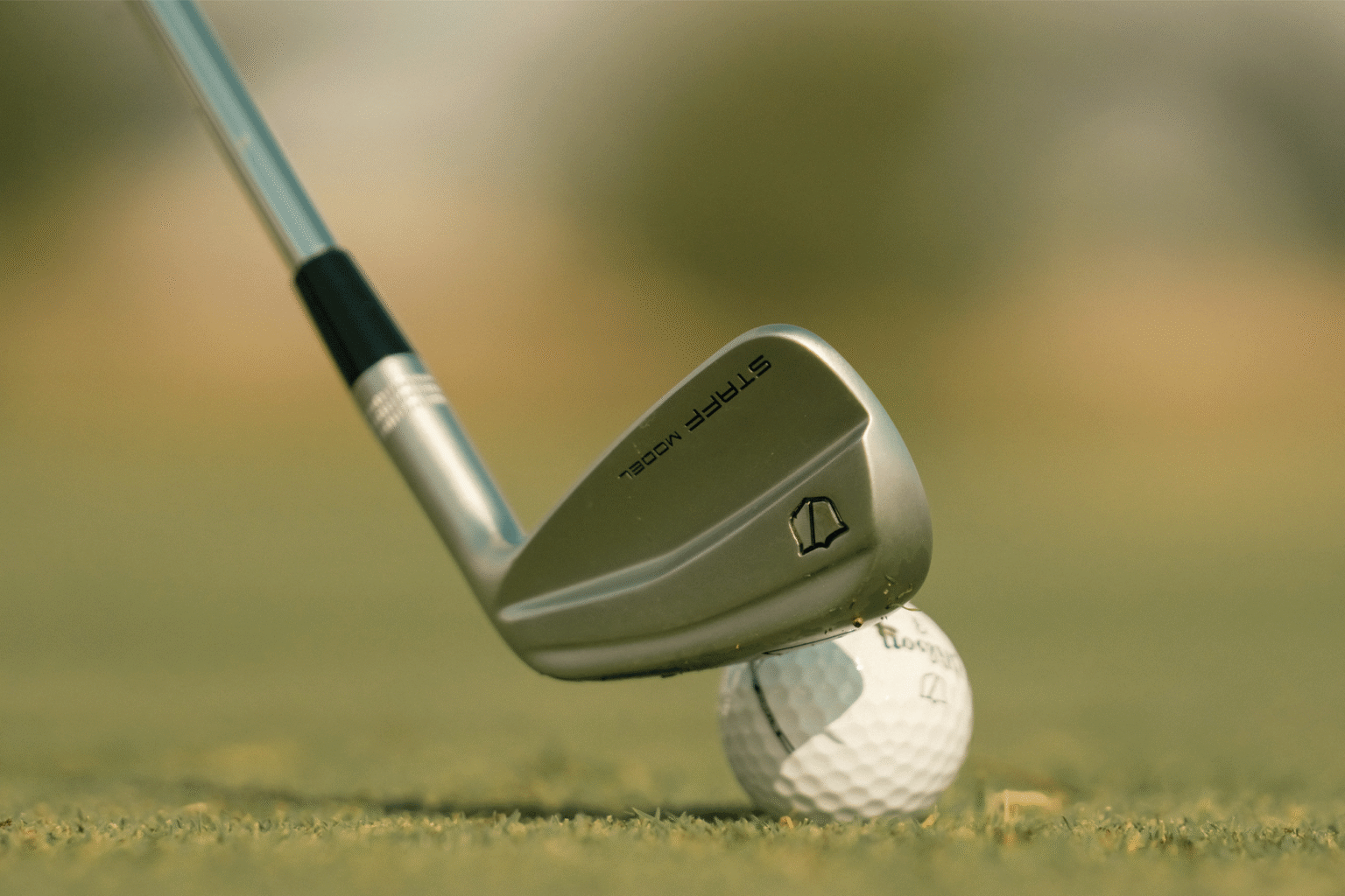 Wilson 2026 Staff Model Blade Irons Review: A pure feel | National Club ...