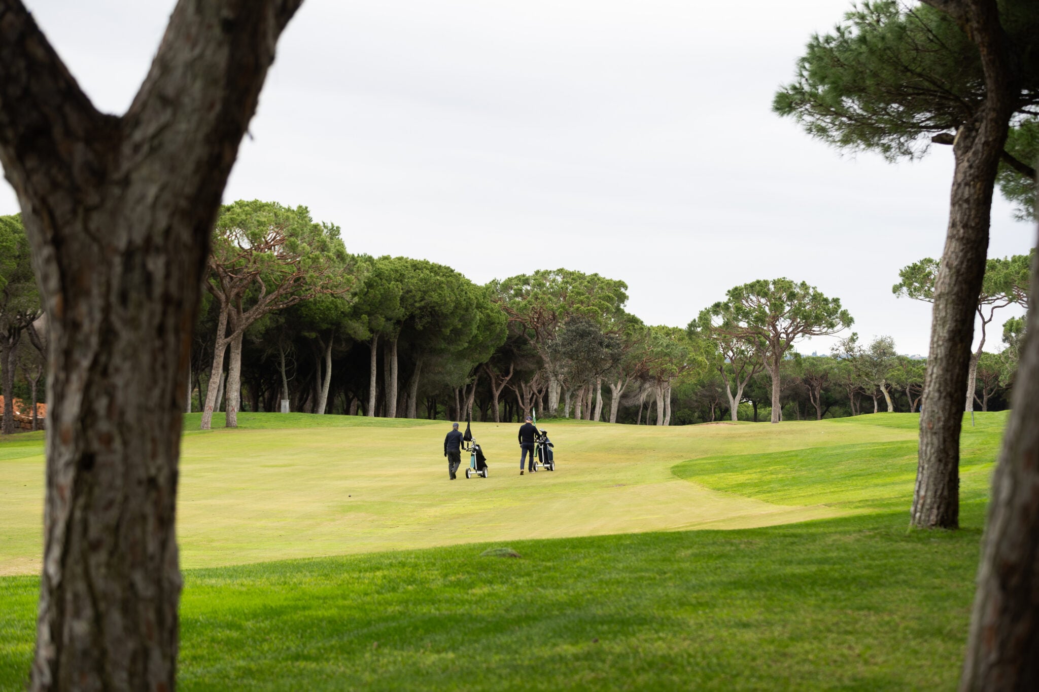 The Best Tour Edge Drivers 2026: Not just for senior golfers ...